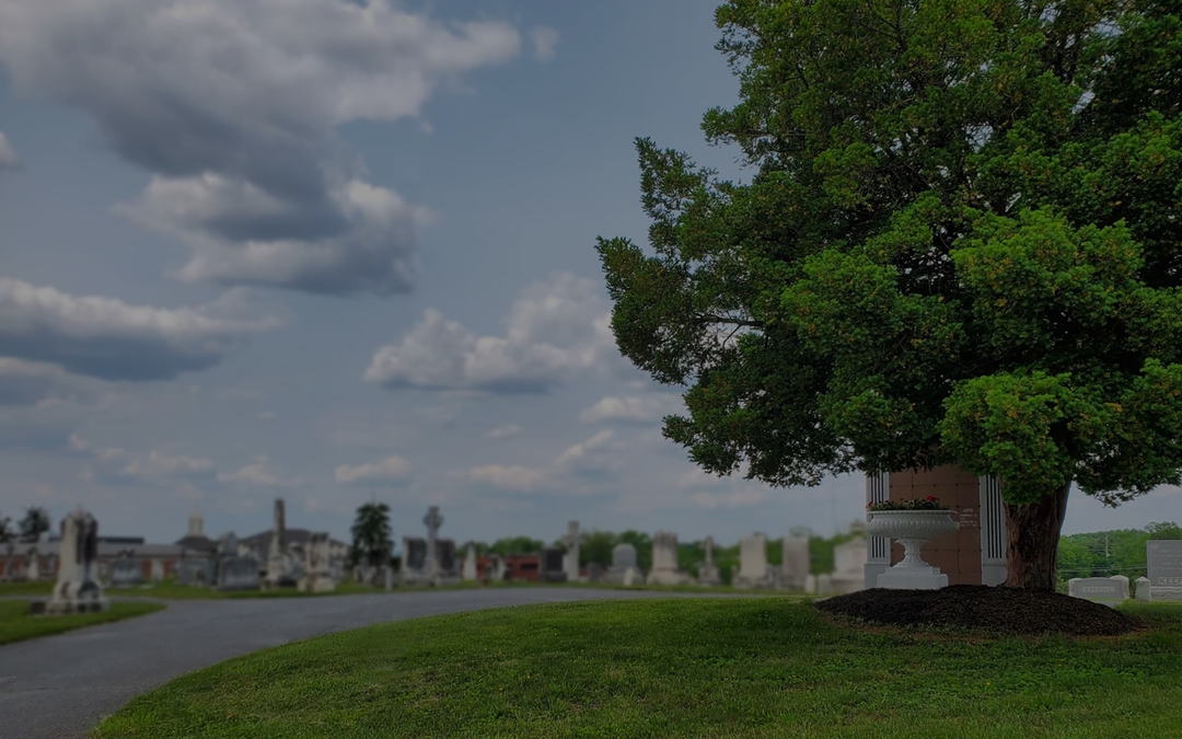 Search burial records / Westminster Cemetery.